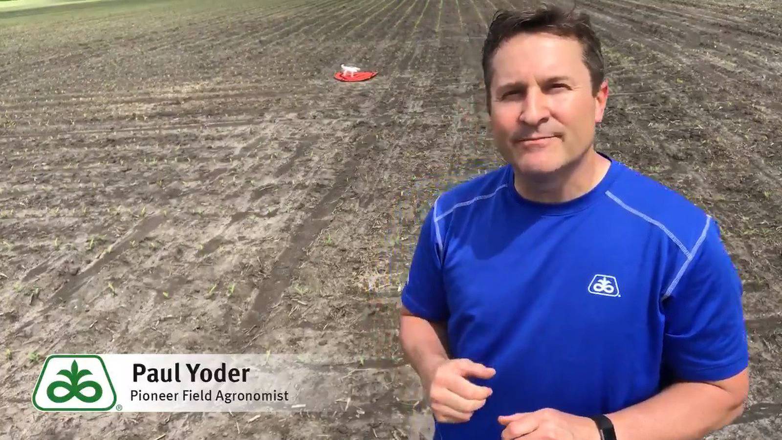 When heat, drought stress impacts corn – AgriNews