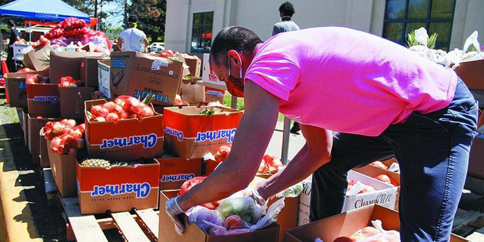 Study shows food banks work as intended – AgriNews