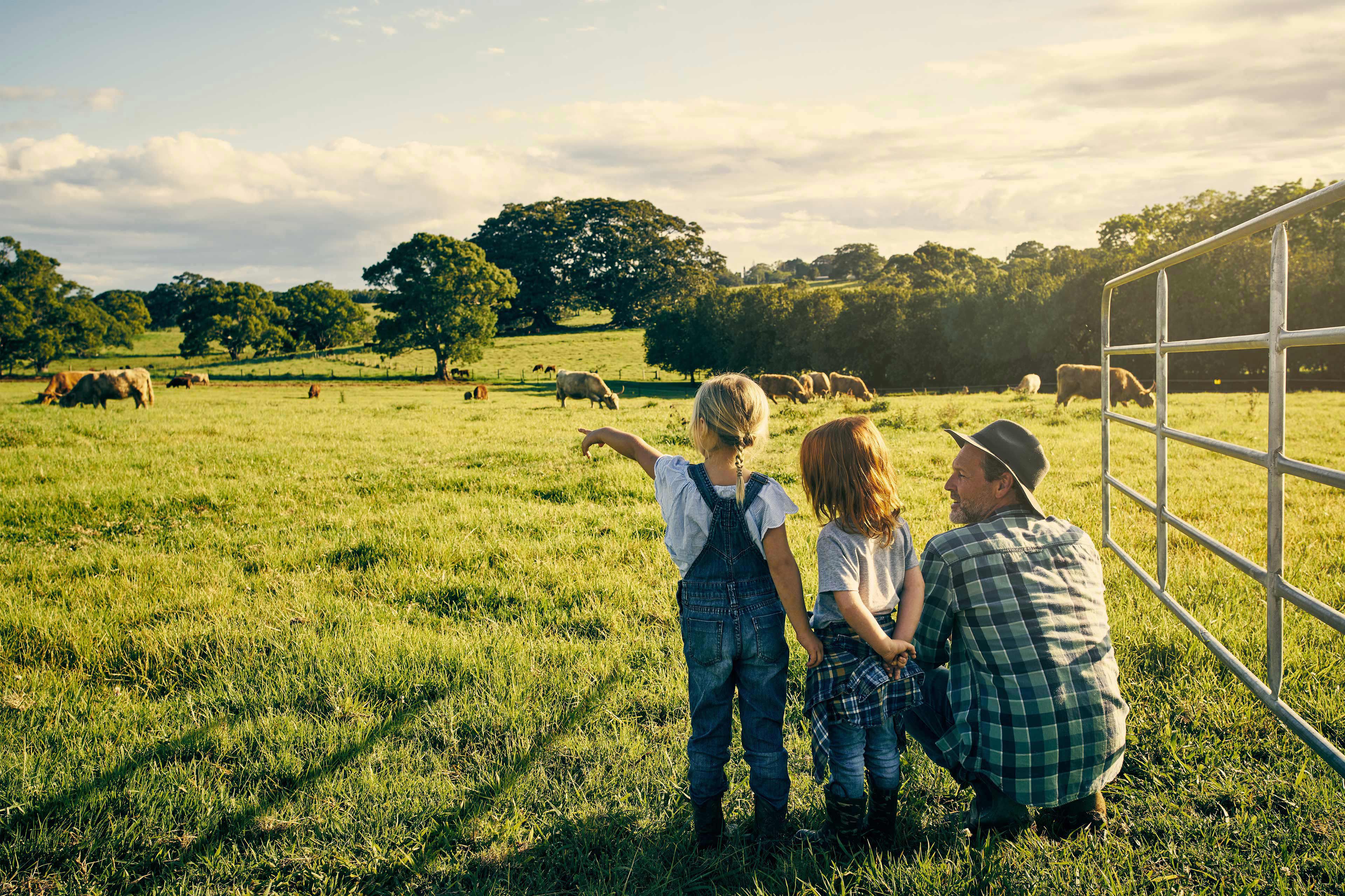 Family farms dominate ag landscape AgriNews