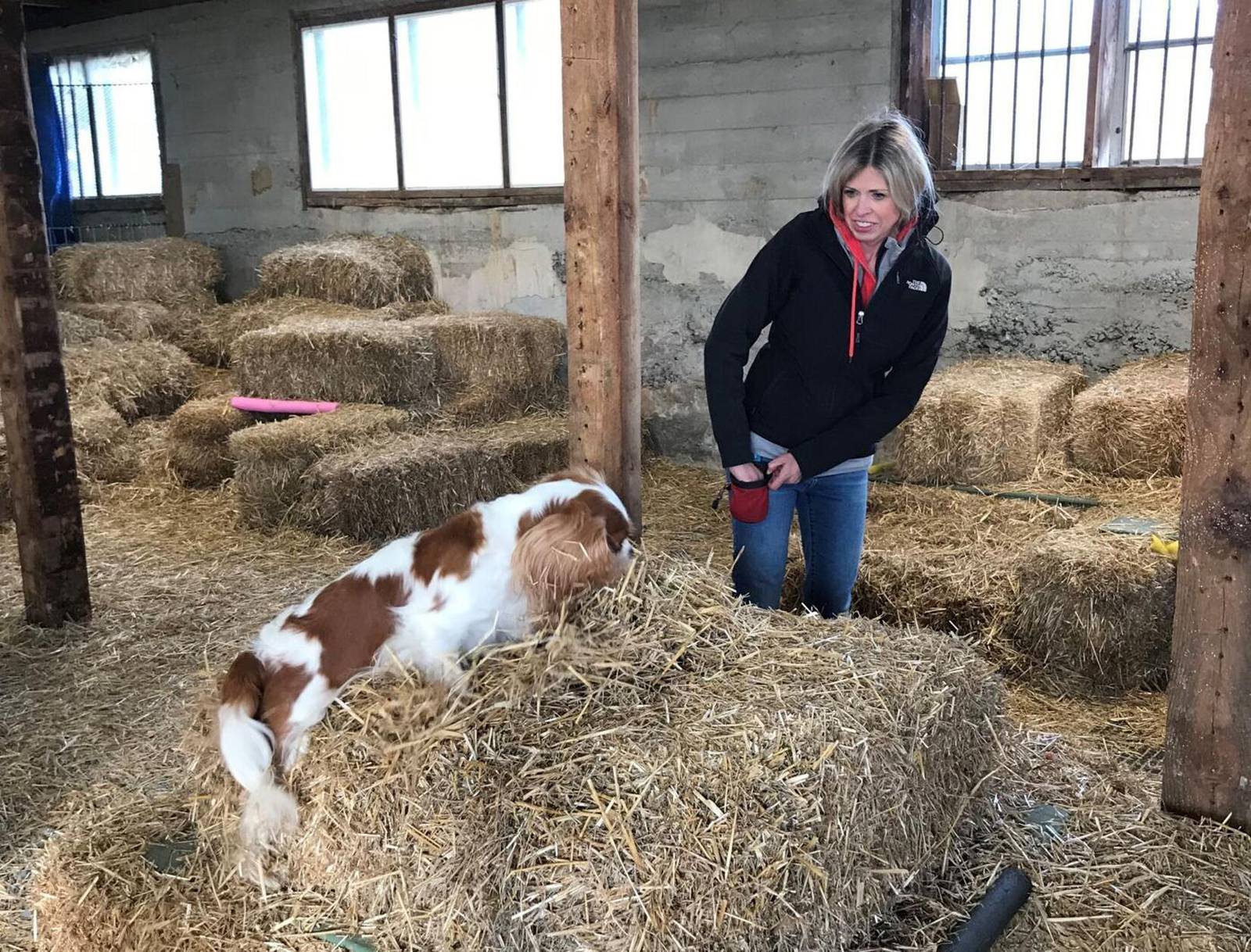 There’s more to barn hunting than smelling a rat – AgriNews