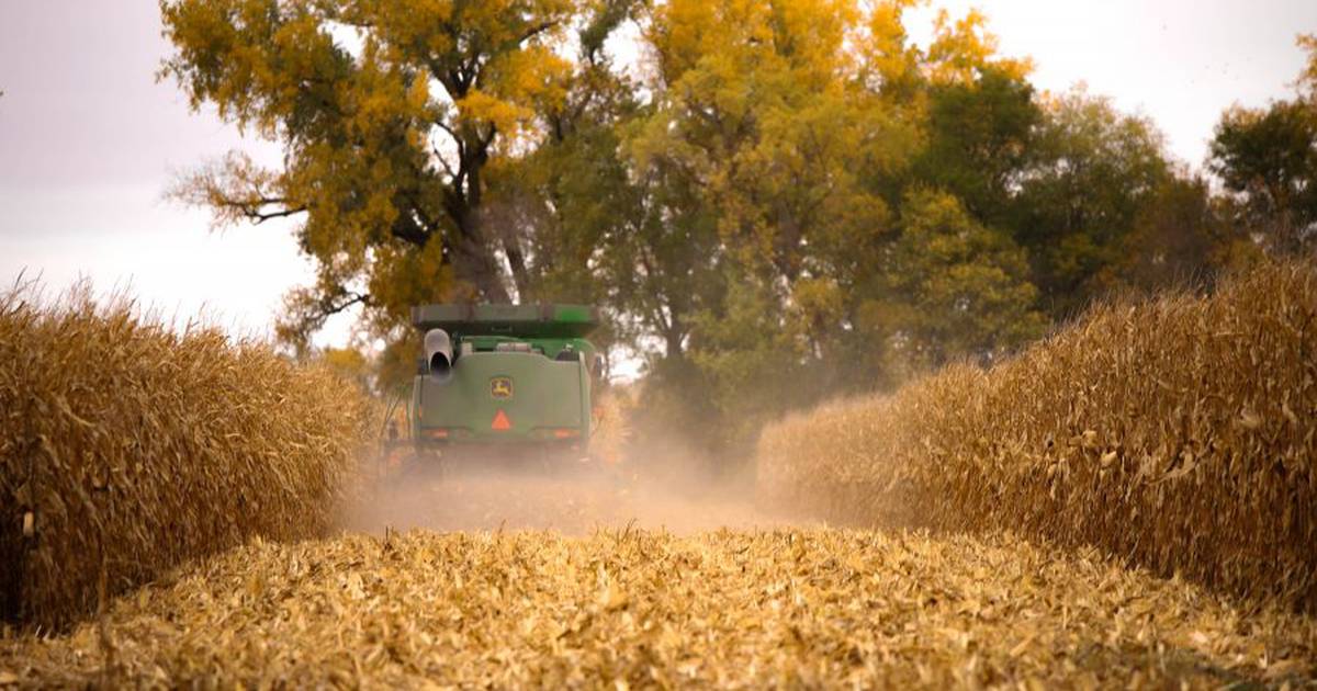 Field of Corn: NCGA announces photo contest winners – AgriNews