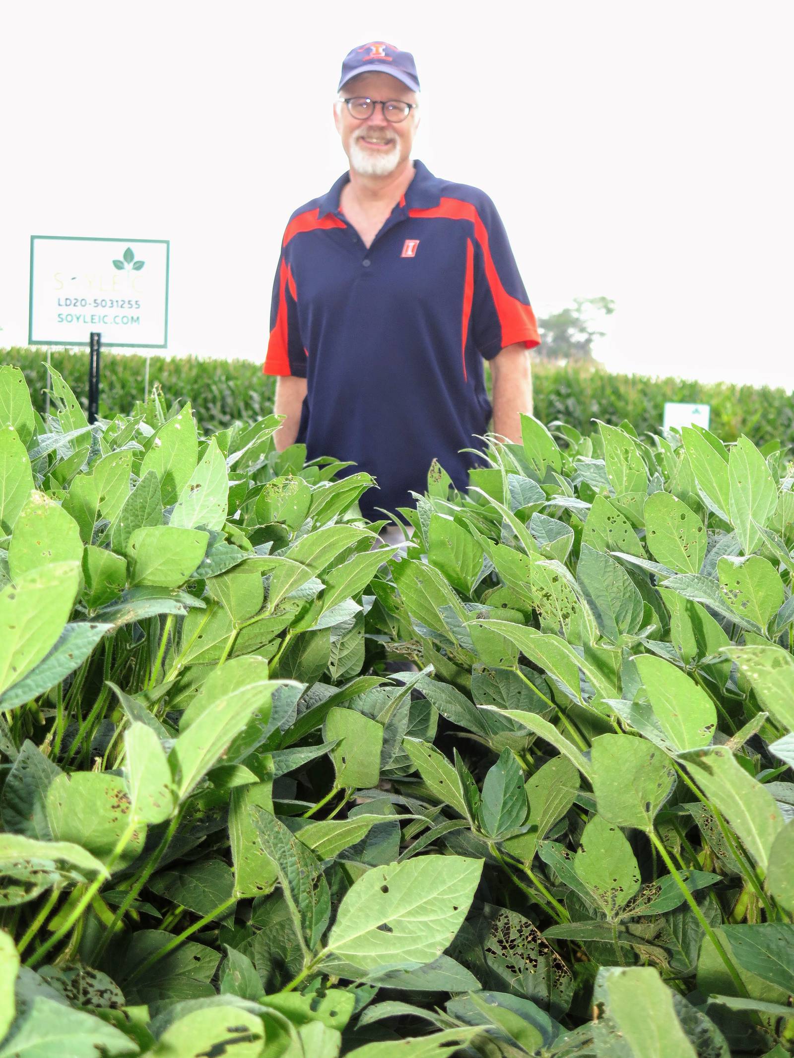 High oleic soybeans to meet consumer needs – AgriNews