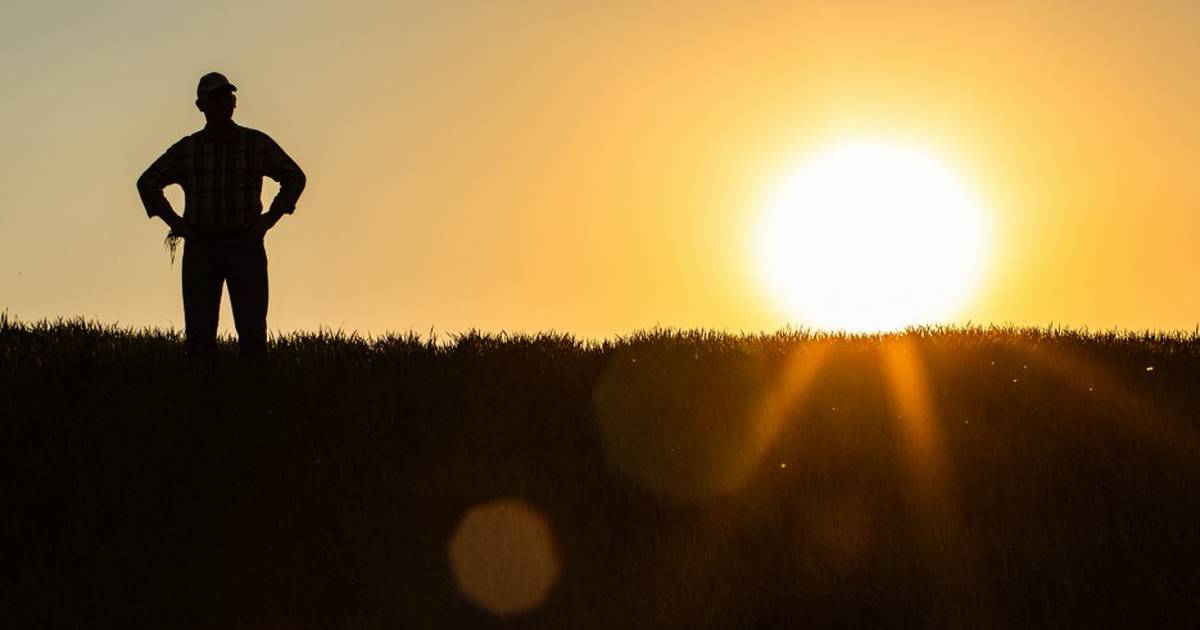 The Zipline: A shot at normal – AgriNews