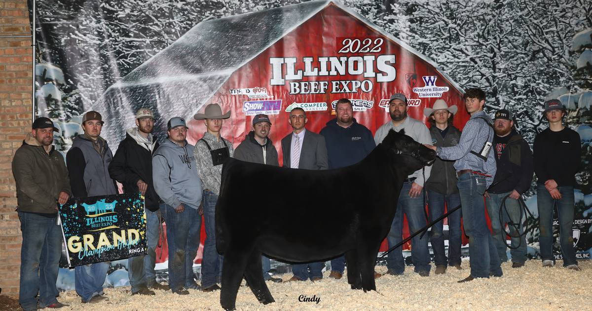 Spencer, Dorsey exhibit grand champion heifers at Illinois Beef Expo ...