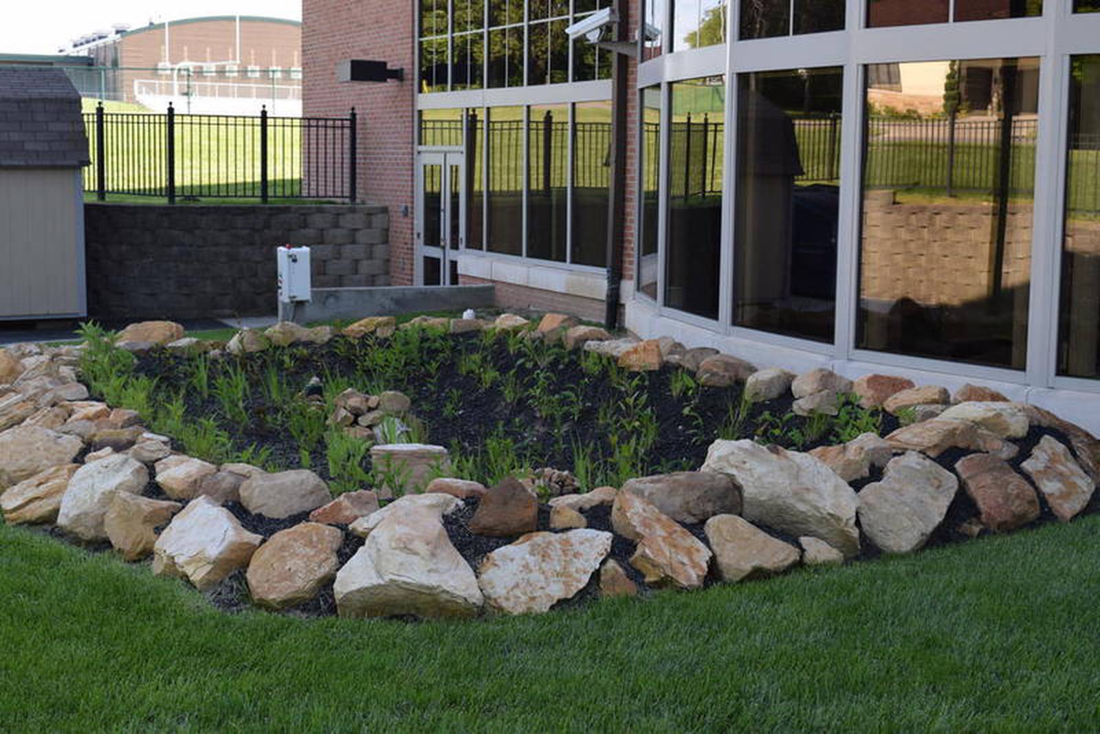 Rainscaping prevents water runoff – AgriNews