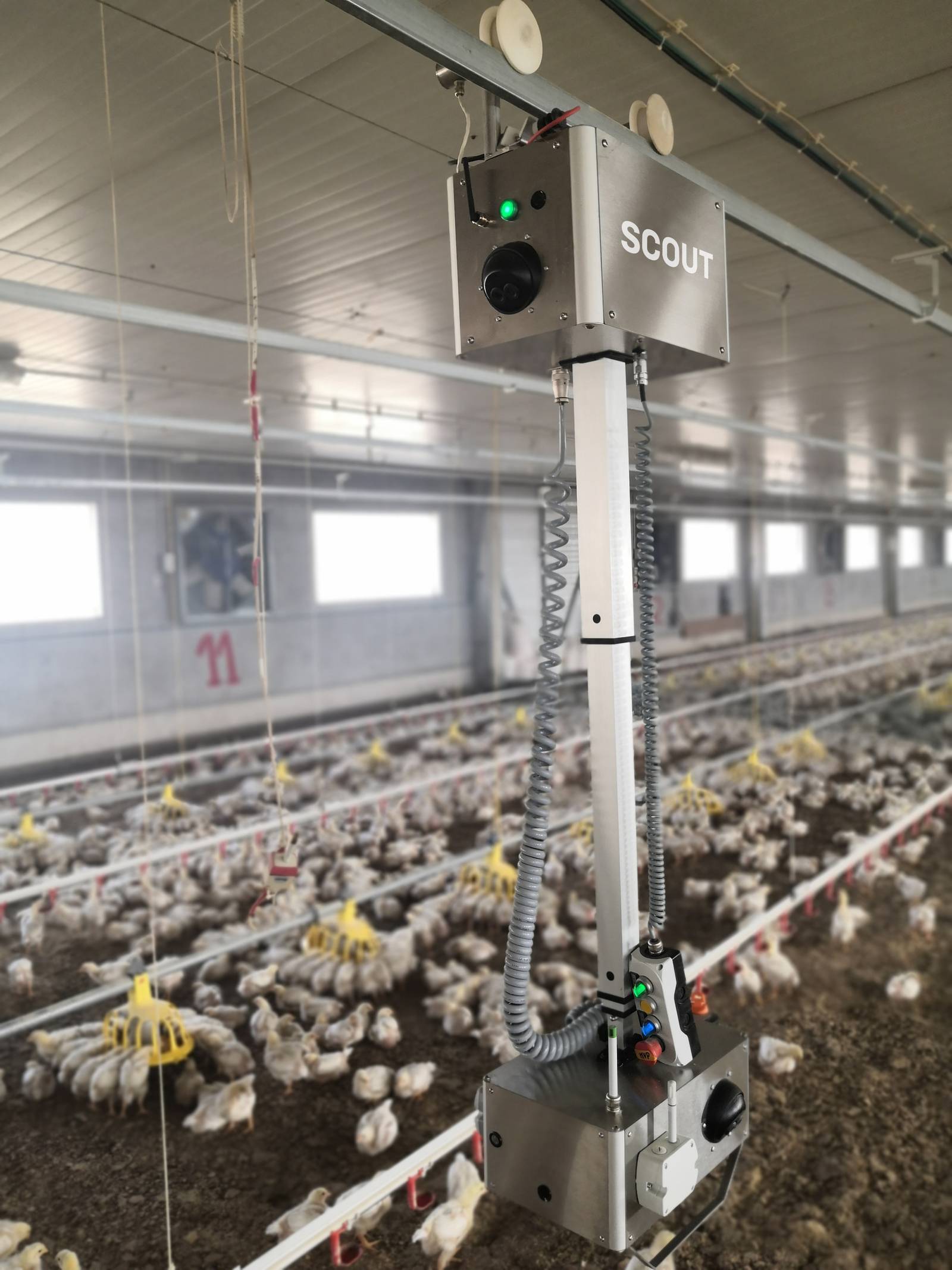 Ceiling-suspended robot provides continuous monitoring of chickens ...