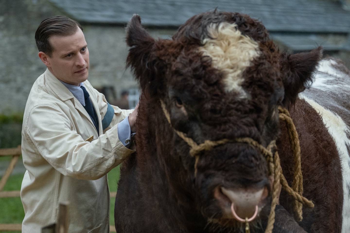 PBS’ ‘All Creatures Great and Small’ aims to be timely tonic – AgriNews