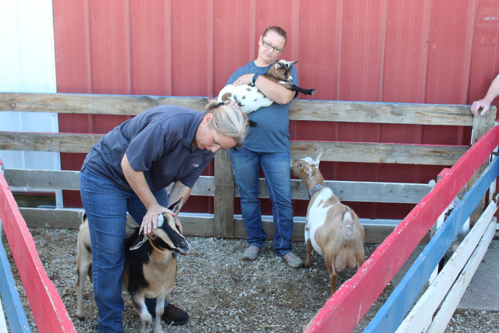 Purchase sheep, goats from reputable breeder with similar management ...