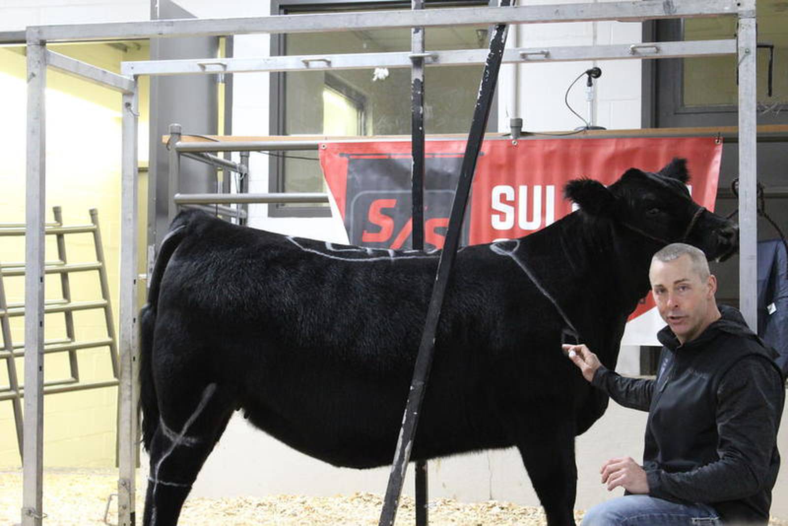 To clip a calf: Techniques highlighted during demonstration – AgriNews
