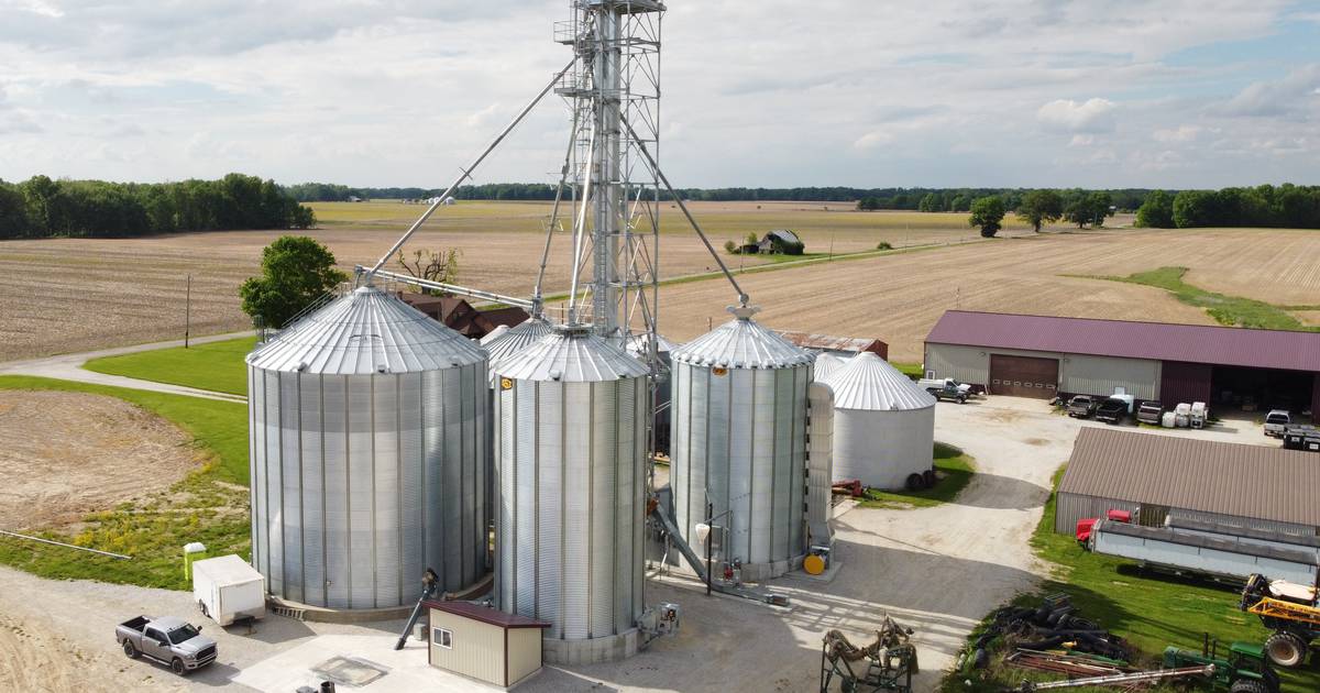 Farmer expands GSI grain system – AgriNews