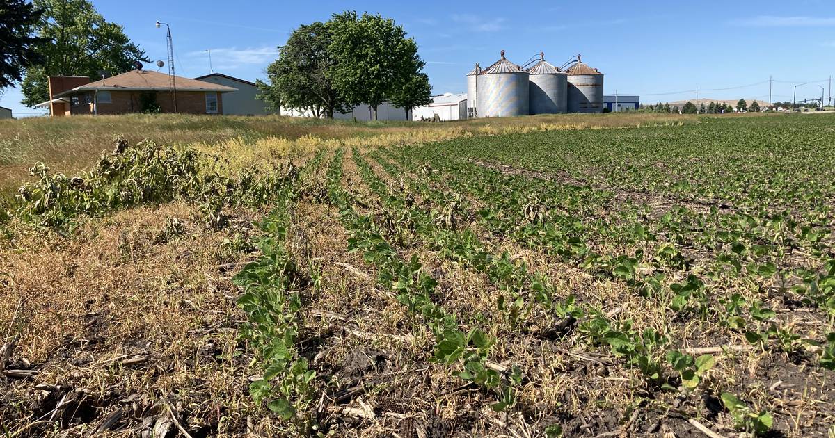 Indiana crop progress – AgriNews