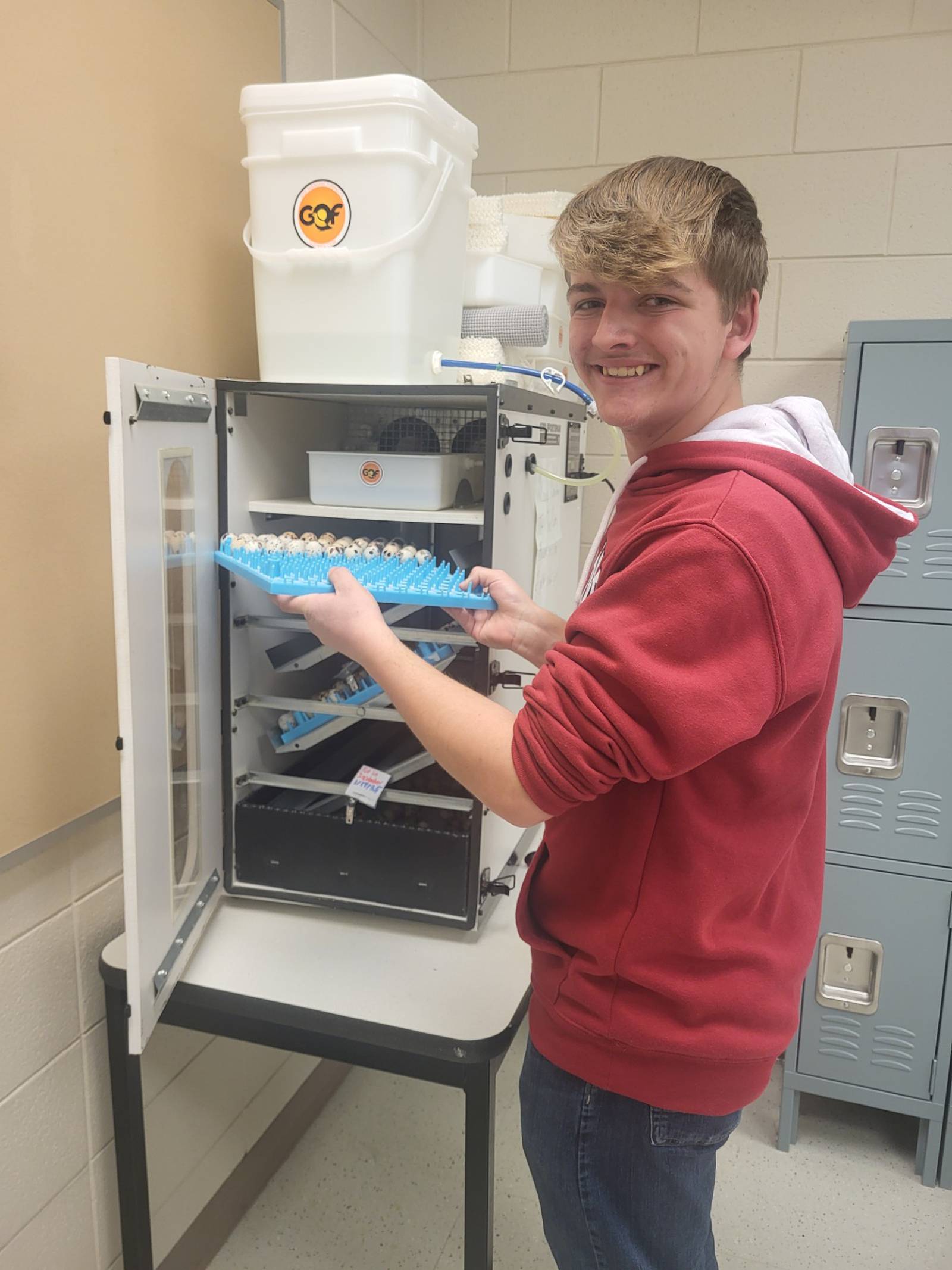 FFA students raise quail, chickens in agricultural classroom – AgriNews