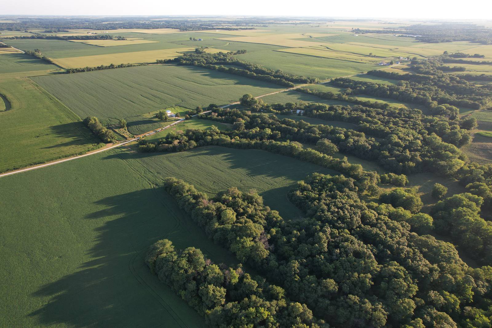 Strong demand for high quality farmland delivers top-end price for ...