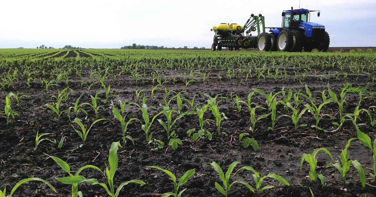 USDA releases first new crop predictions – AgriNews