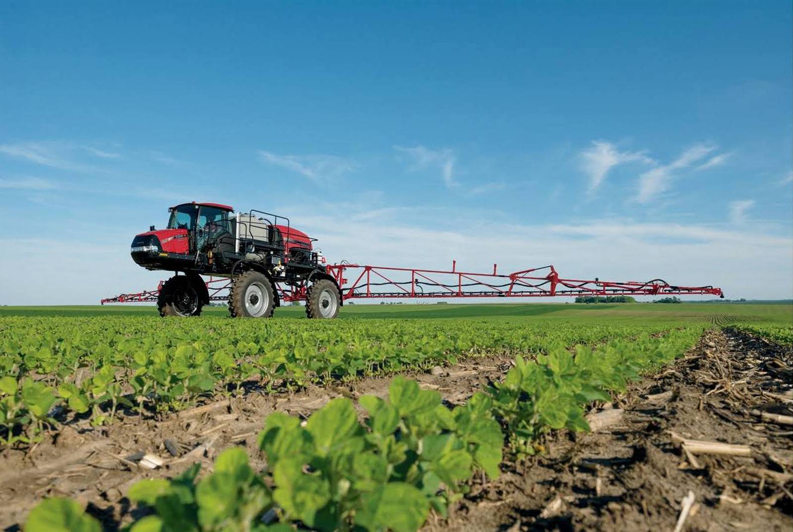 Proposed dicamba label unchanged from 2020 – AgriNews