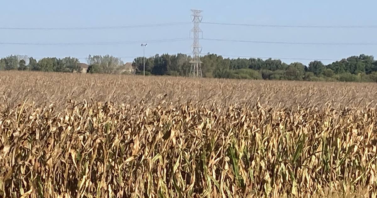 Indiana crop progress for week ending Sept. 28 – AgriNews