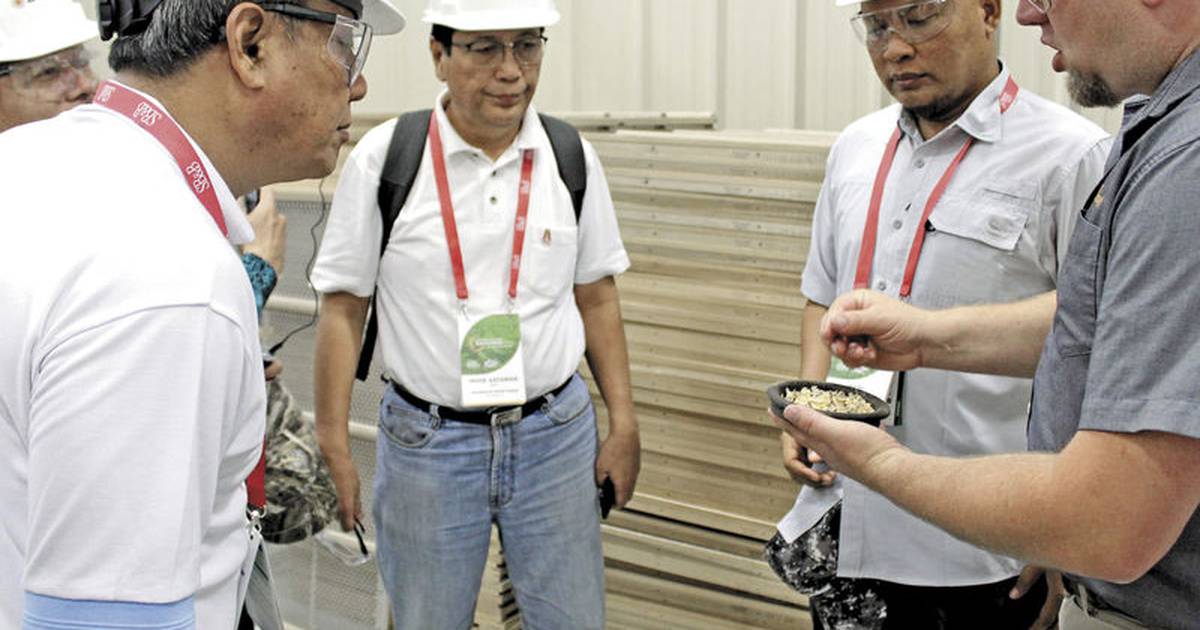 Scoular focuses on high-quality grain – AgriNews