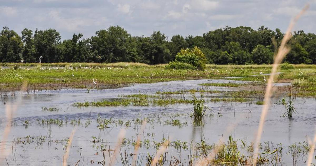 NRCS invests in partnership to restore wetlands in southern Indiana ...