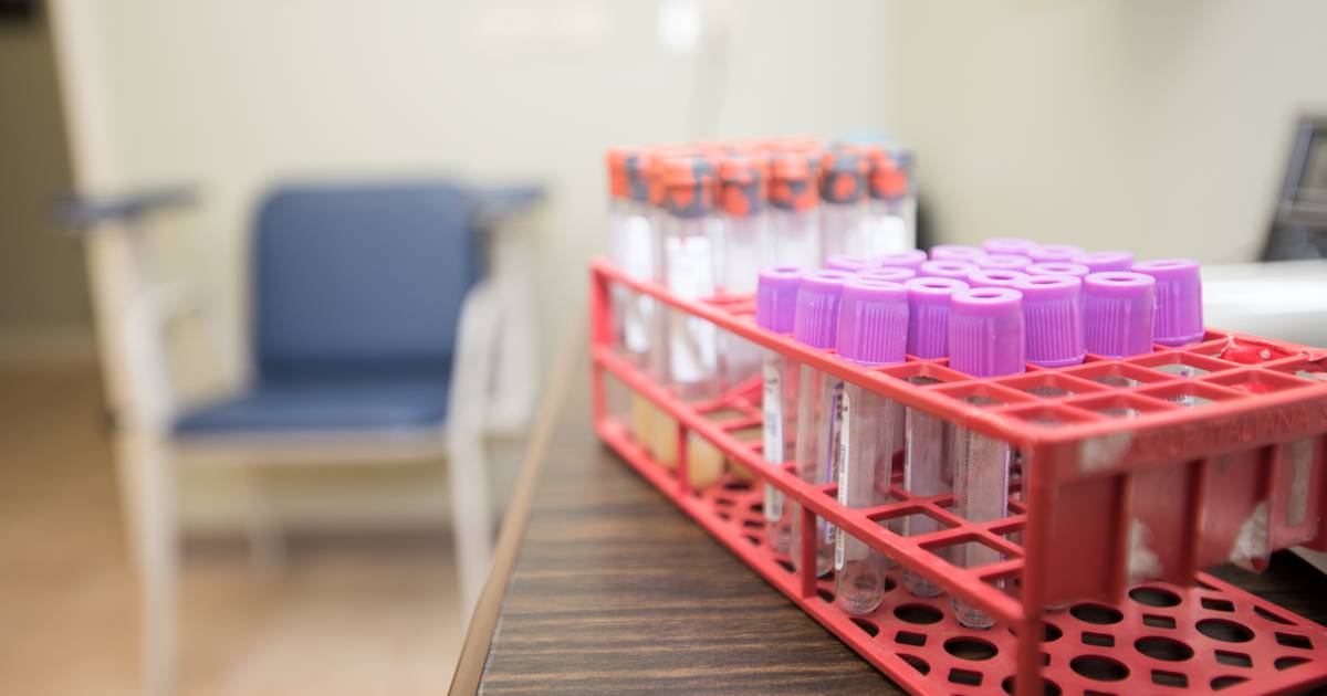 INFB health plan program off to a good start – AgriNews