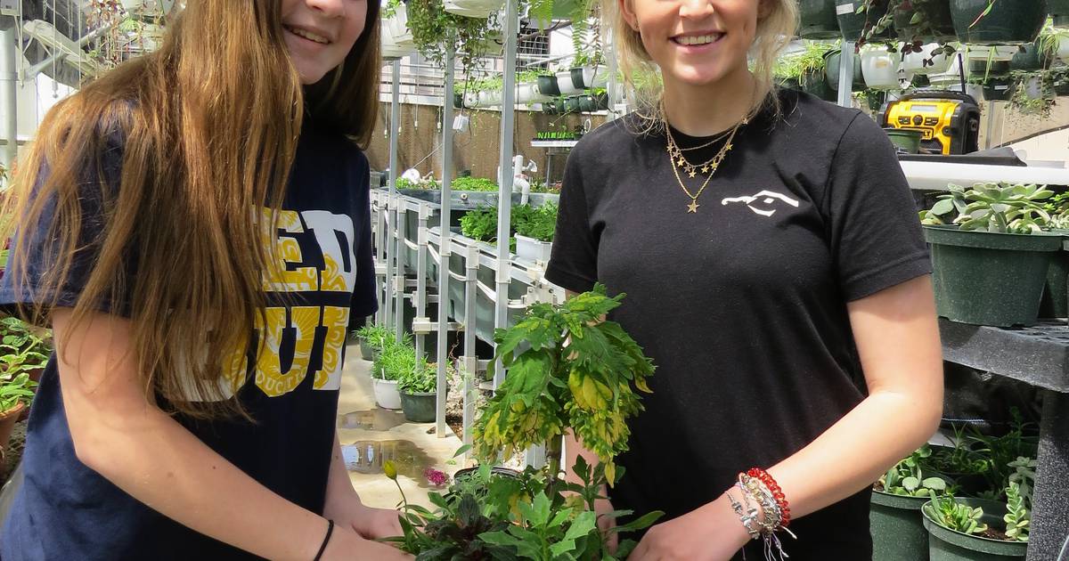 School’s greenhouse plants seeds for the future – AgriNews