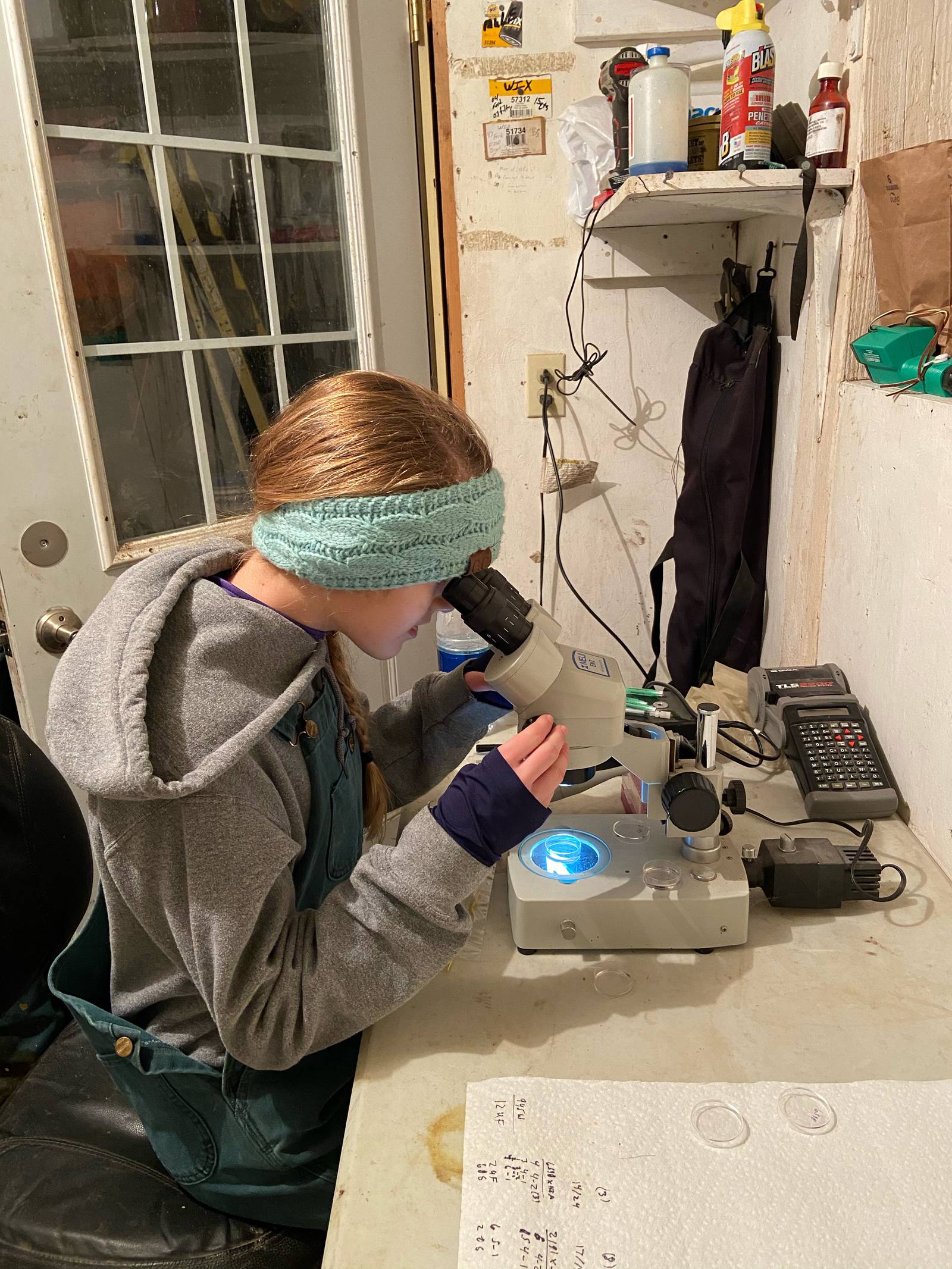 Cattle research project wins national award for FFA member – AgriNews