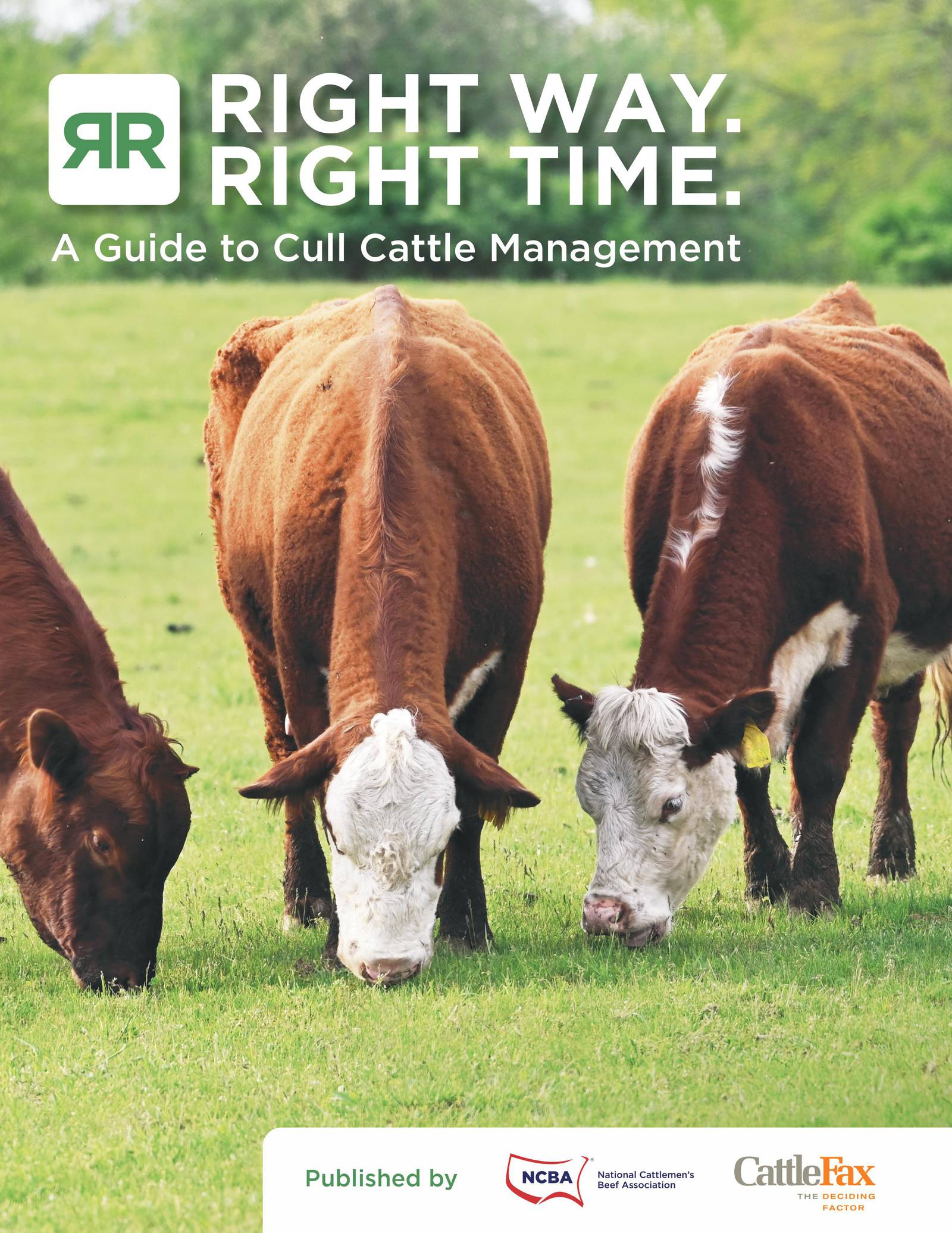 New Resource Helps Cattle Producers Maximize Profitability Agrinews