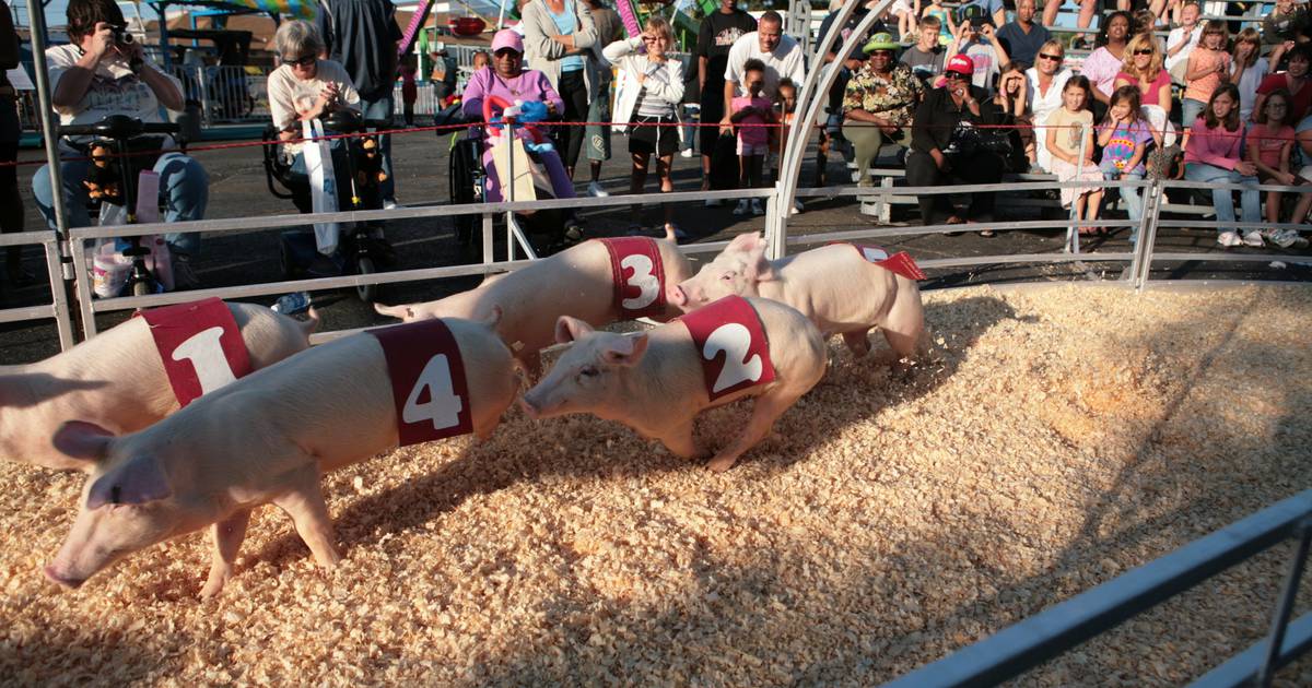 Enjoy summer at the Jasper County Fair – AgriNews