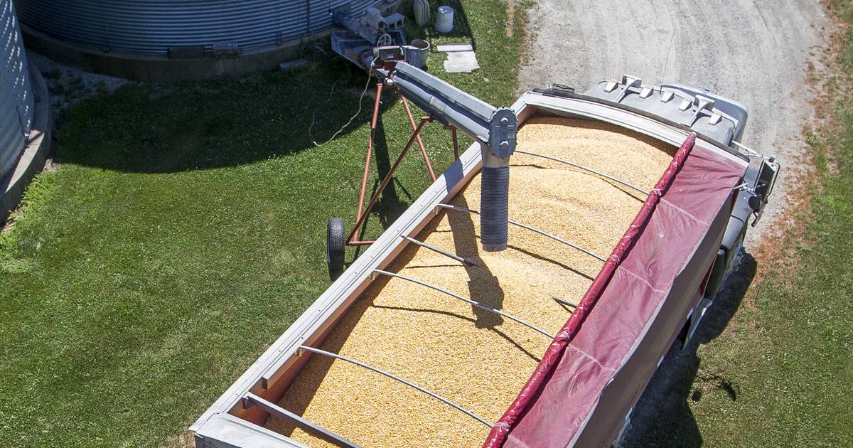 2025 Indiana AgSource Directory – AgriNews