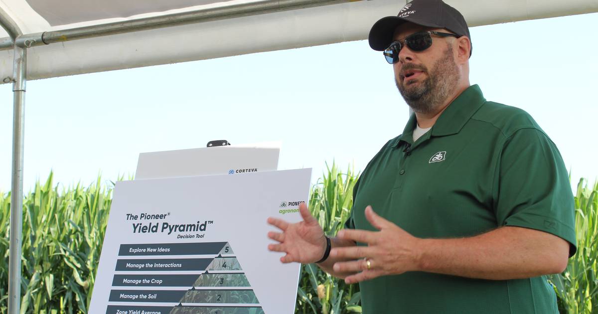 Pioneer Yield Pyramid: Data-driven decision tool assists farmers with ...