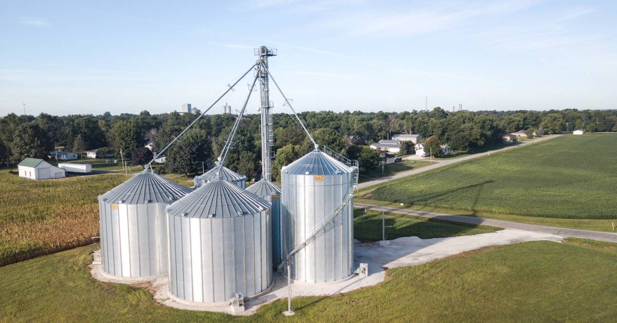 Preparing your grain system for harvest – AgriNews