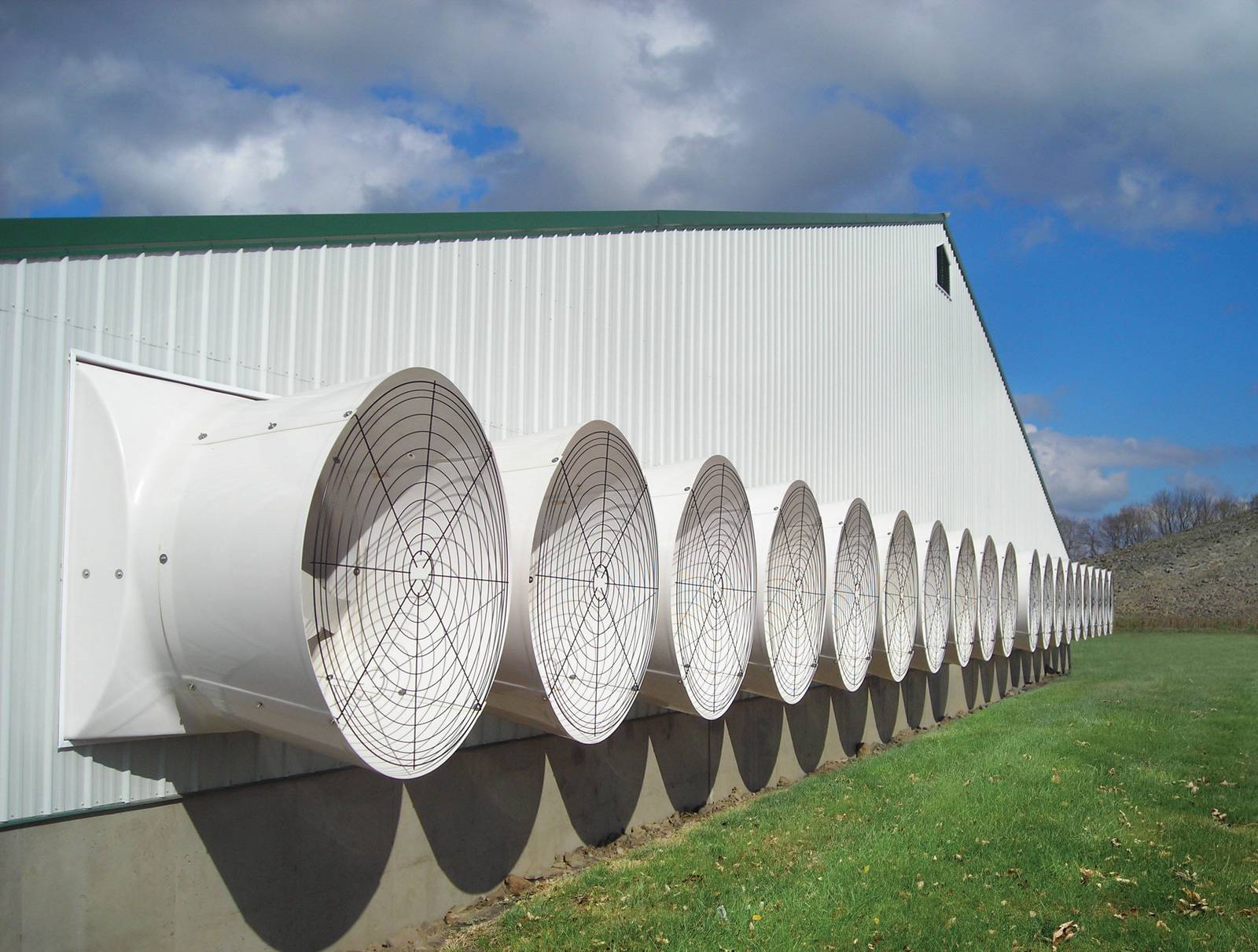 AP offers ventilation video series for swine producers – AgriNews