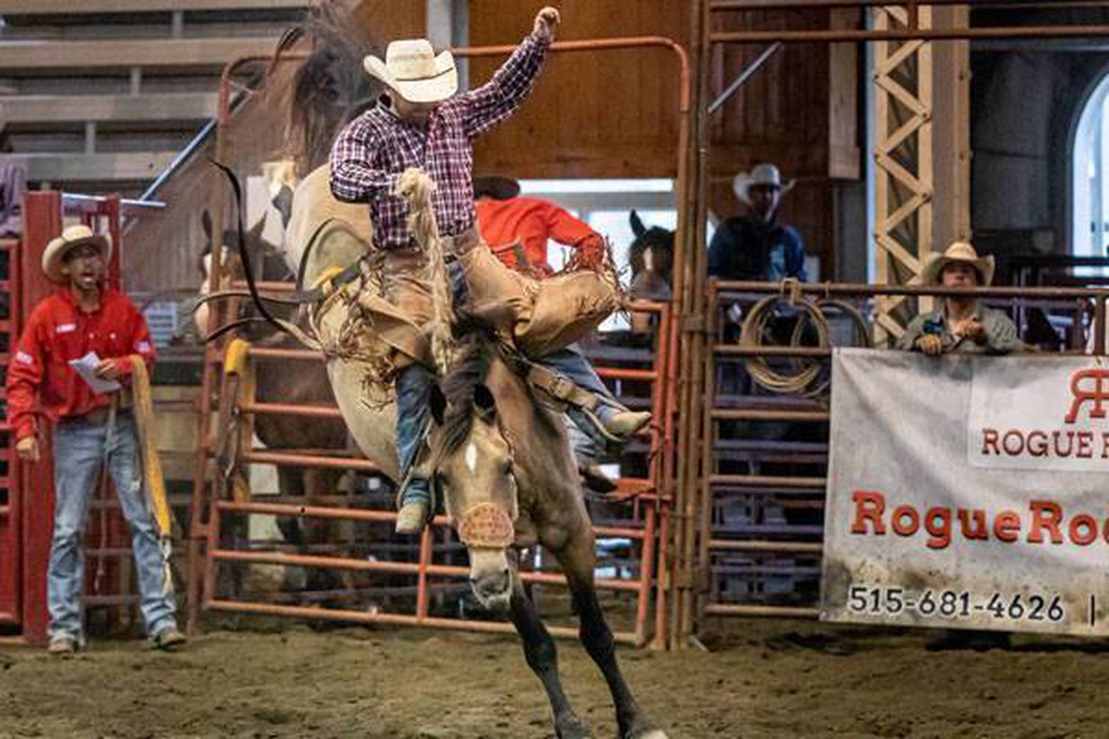 Experience the daily life of a farmer at fair exhibit – AgriNews