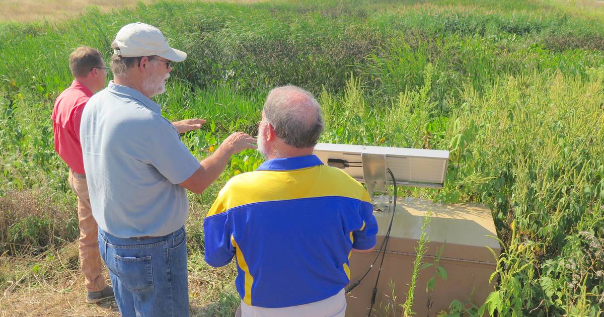 Resources ease wetlands process – AgriNews