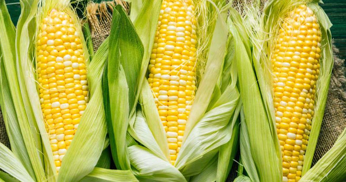 More than a kernel of truth: Corn can add a healthy crunch to your ...