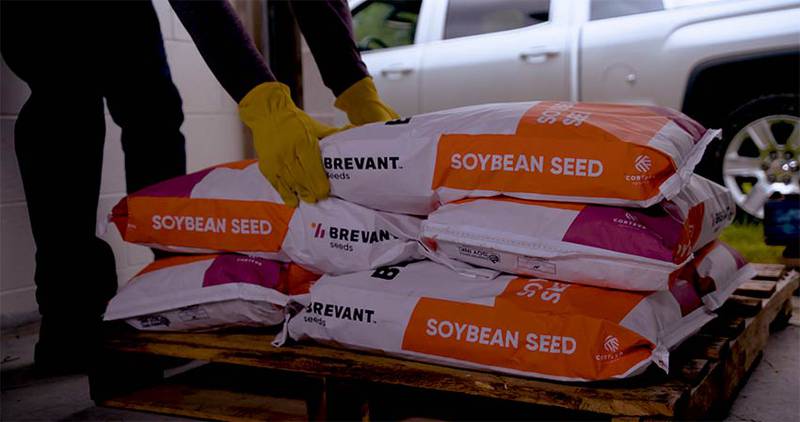 Brevant seeds brings 24 new soybean varieties to market for 2024 – AgriNews