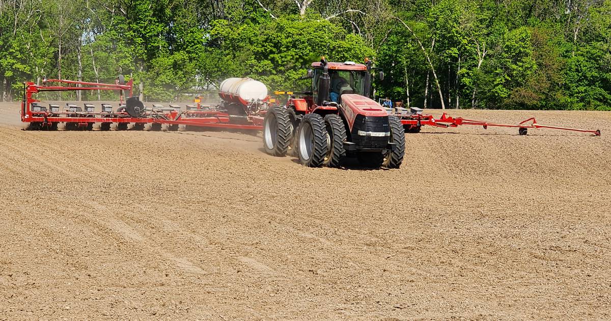 A breather after busy planting season – AgriNews