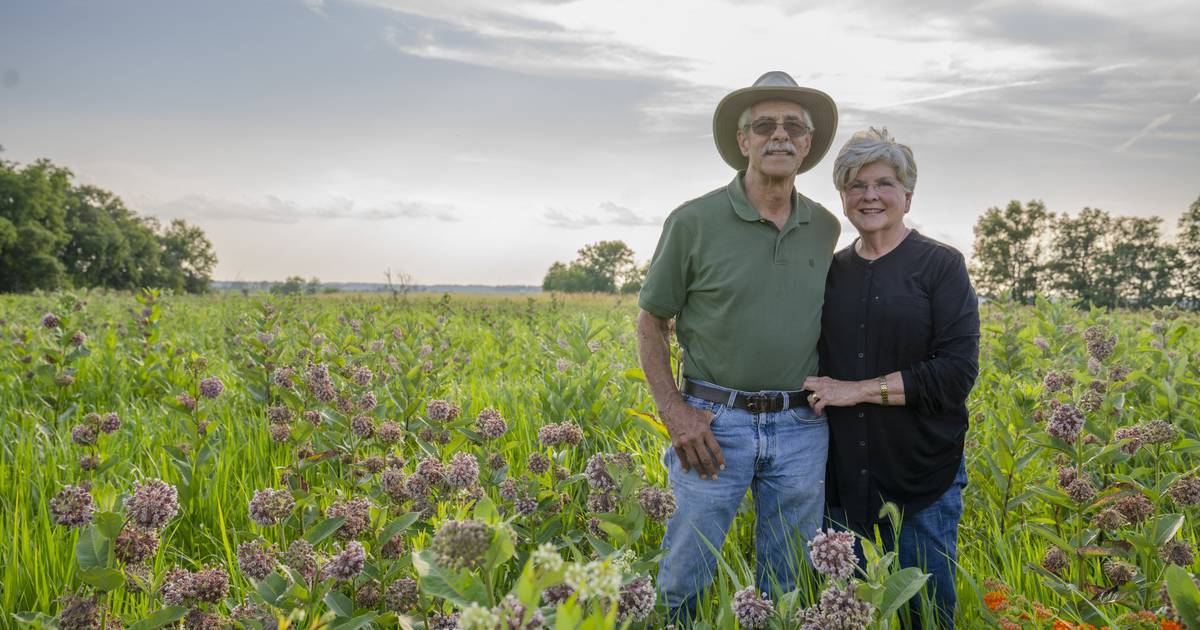 Frey Family Farms receives Illinois Leopold Conservation Award – AgriNews
