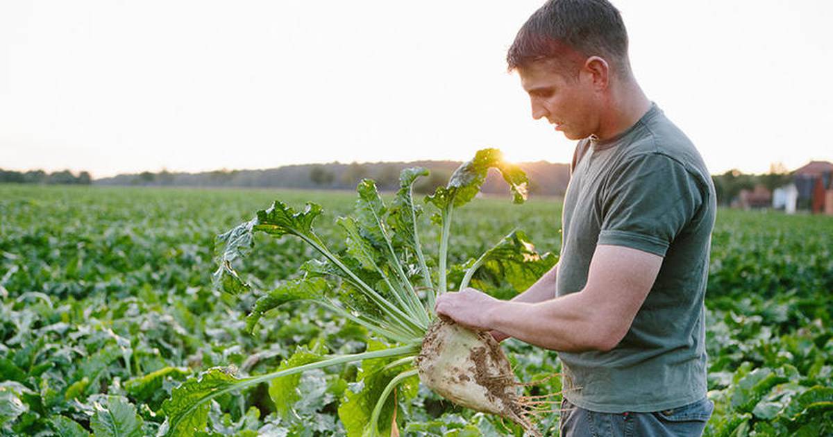 Duvall: Farms and ranches are businesses – AgriNews