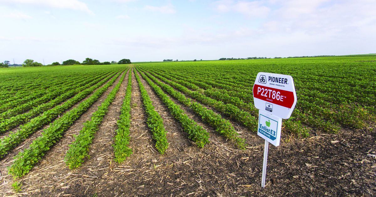 Pioneer Announces 93 New Corn Soybean Products Agrinews