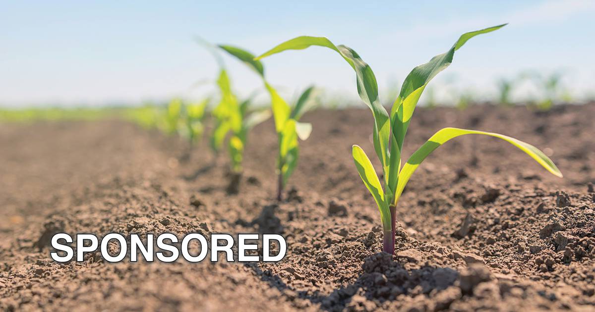 Join the AgroEcoPower Team: Empowering Agriculture with Engine Expertise – AgriNews