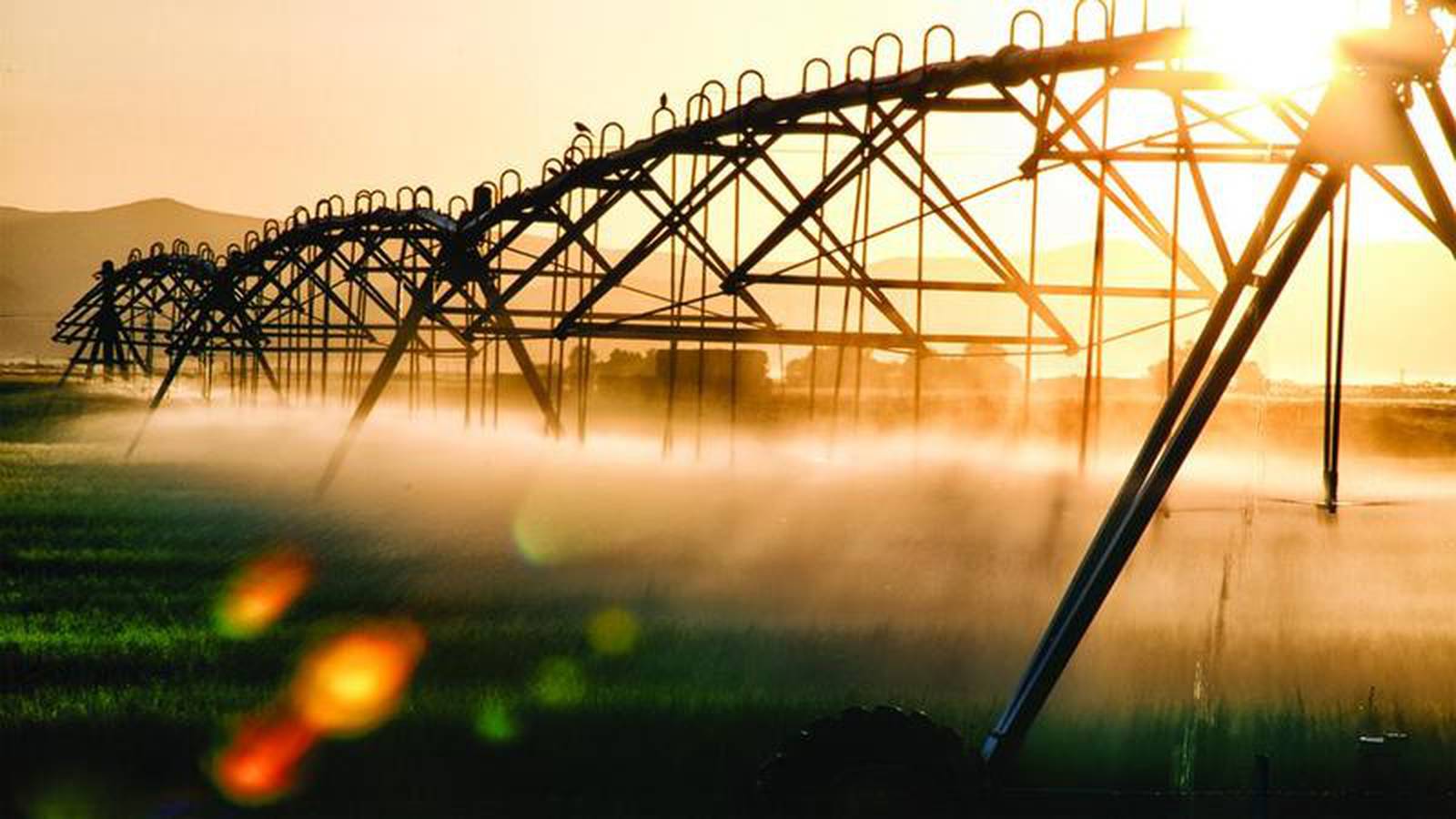 Duvall: Rising to challenge through innovation – AgriNews