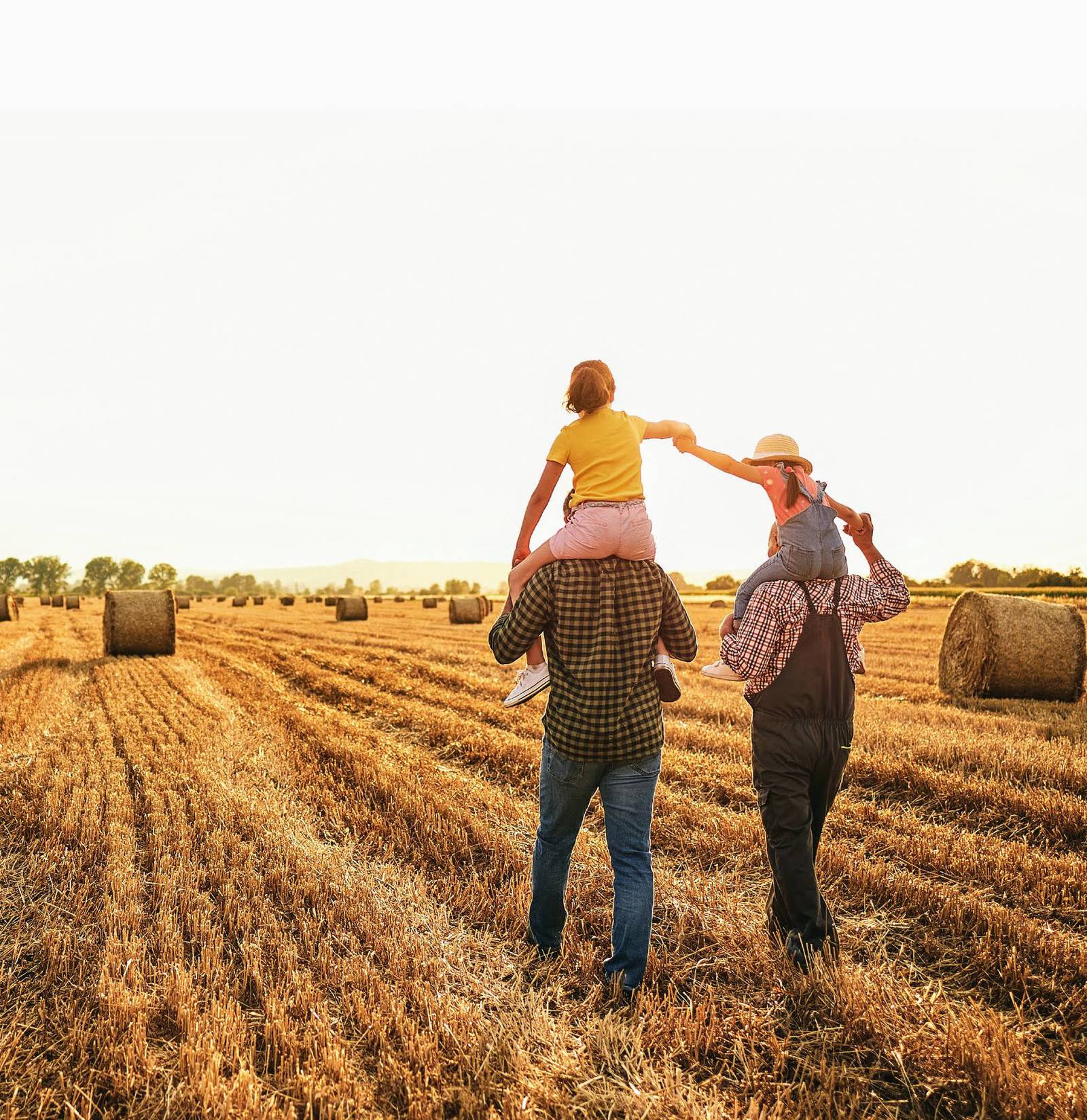 Family farms continue to lead agriculture – AgriNews