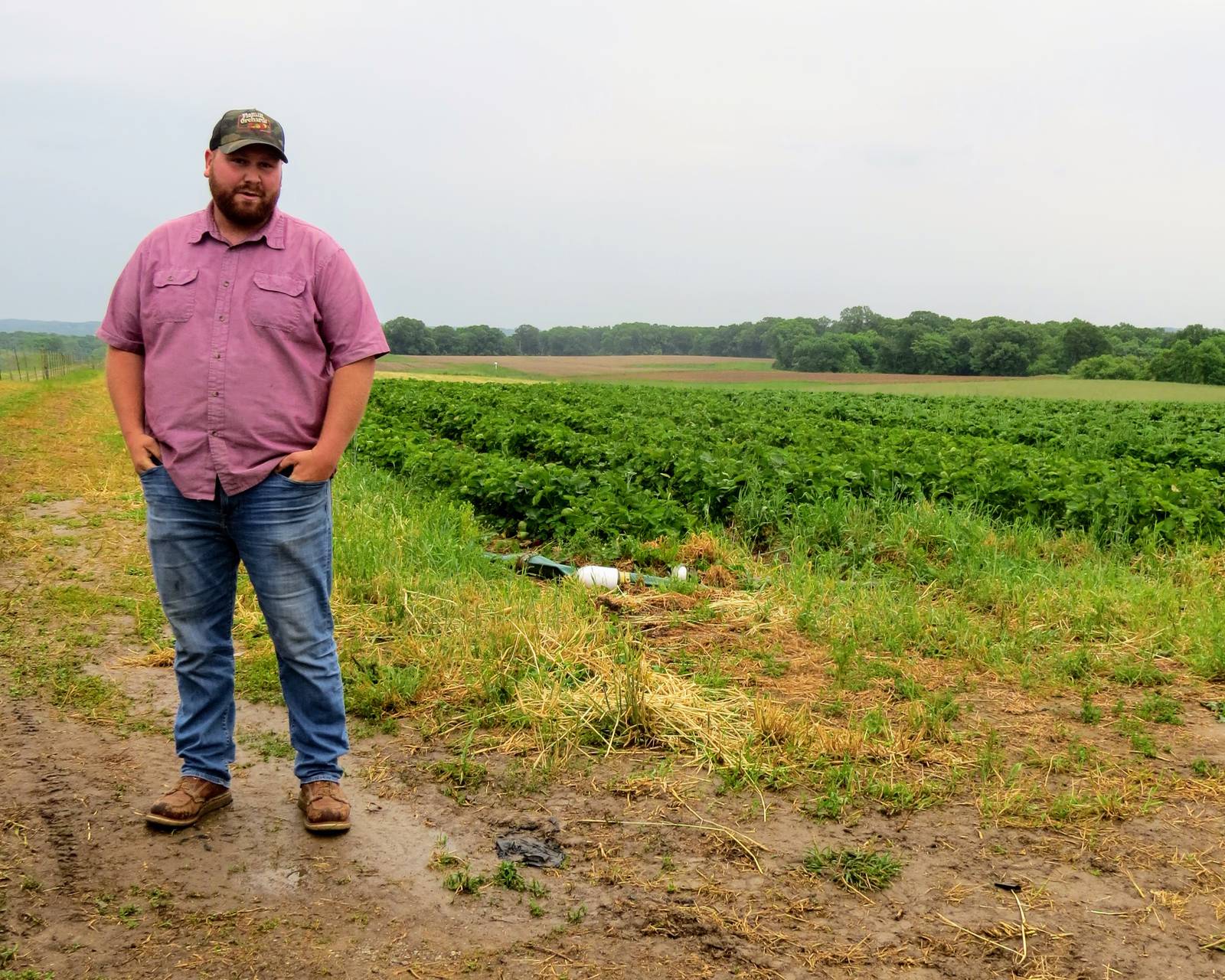 It’s the berries: First Twilight meeting highlights sweet success ...