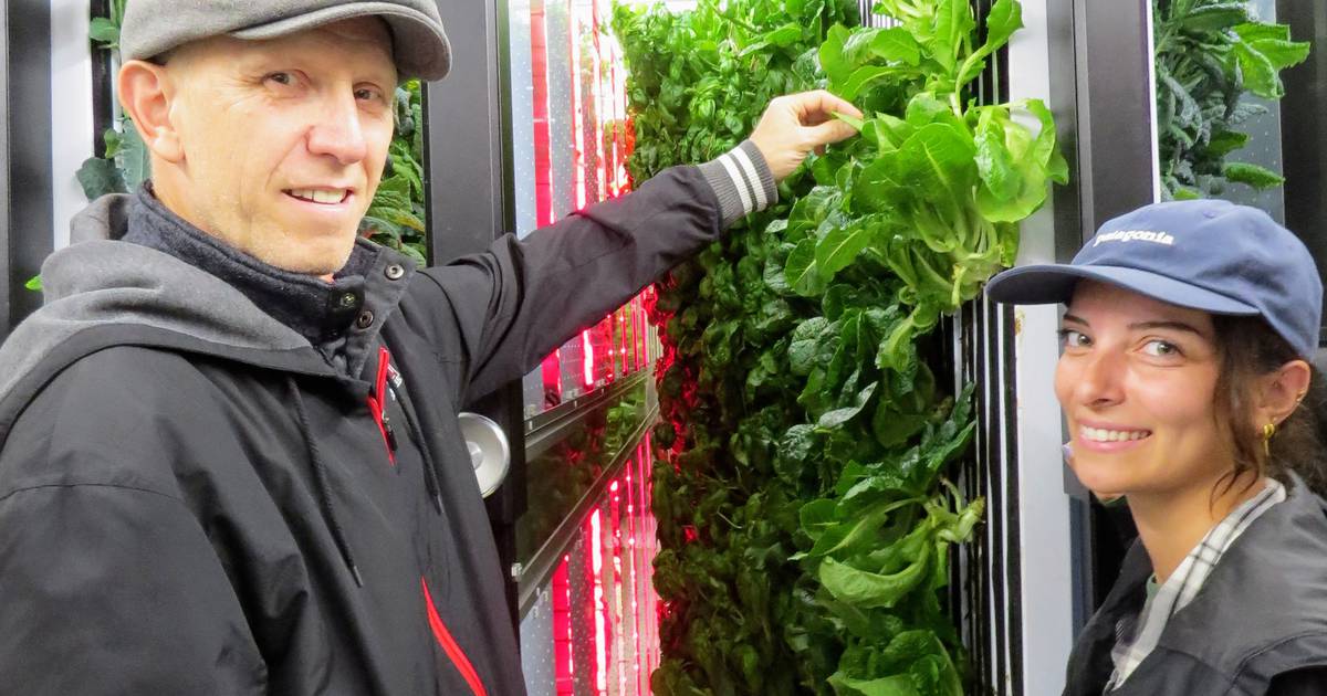 Farm fresh: Edible Campus program aims to innovate, educate, serve NIU ...