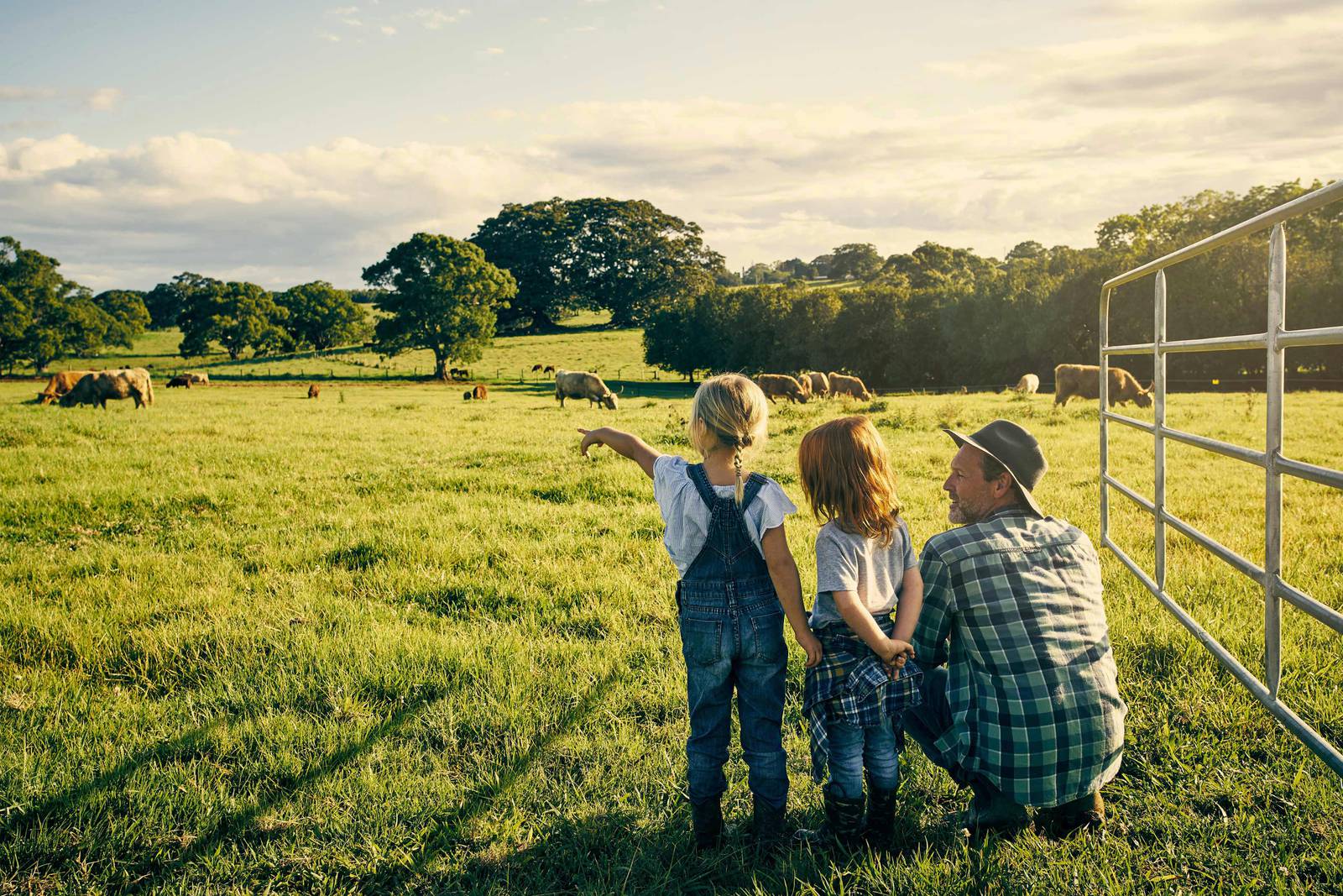 Family farms dominate ag landscape – AgriNews