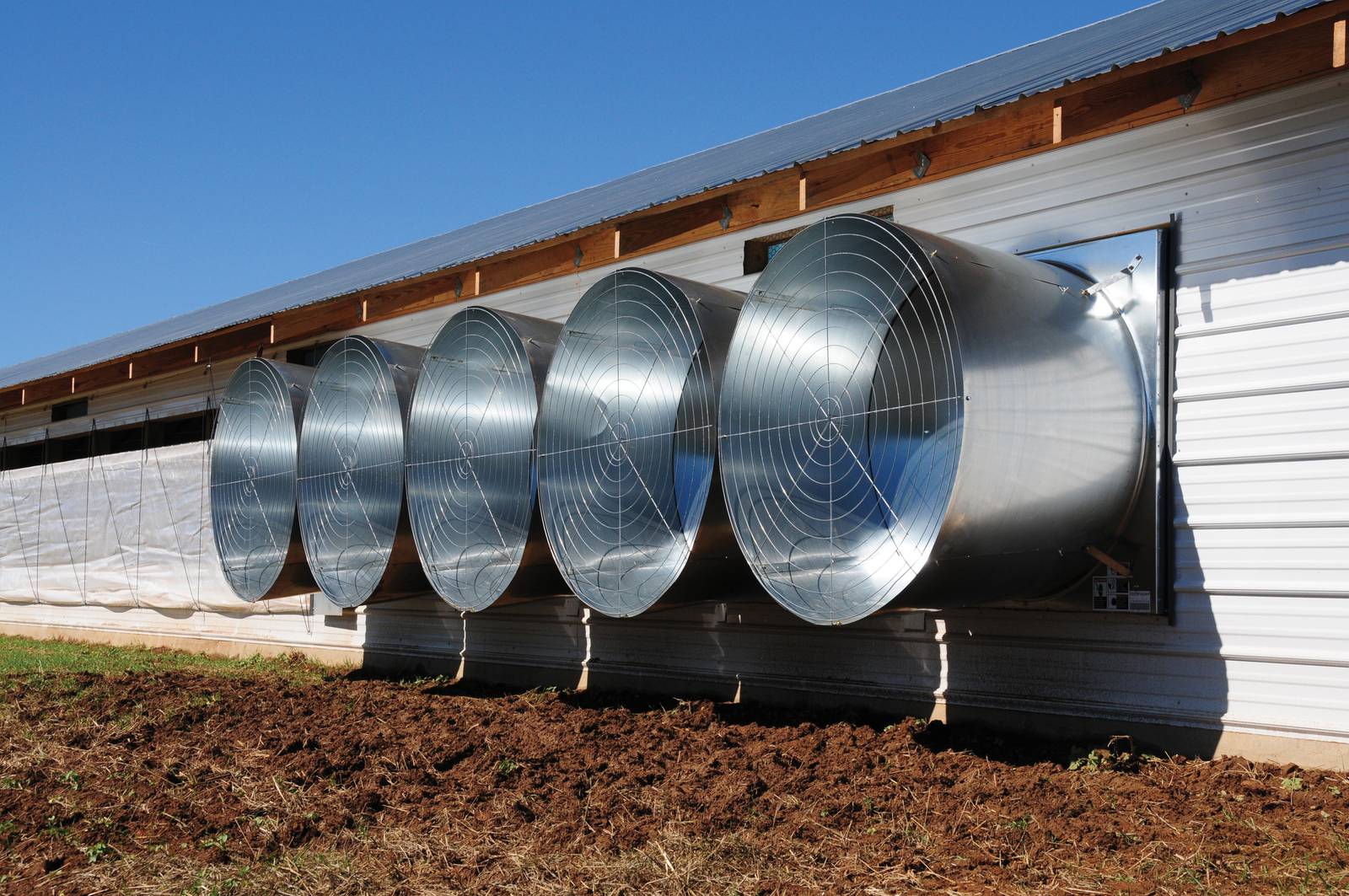 Maintain poultry house equipment for optimal bird health this winter ...