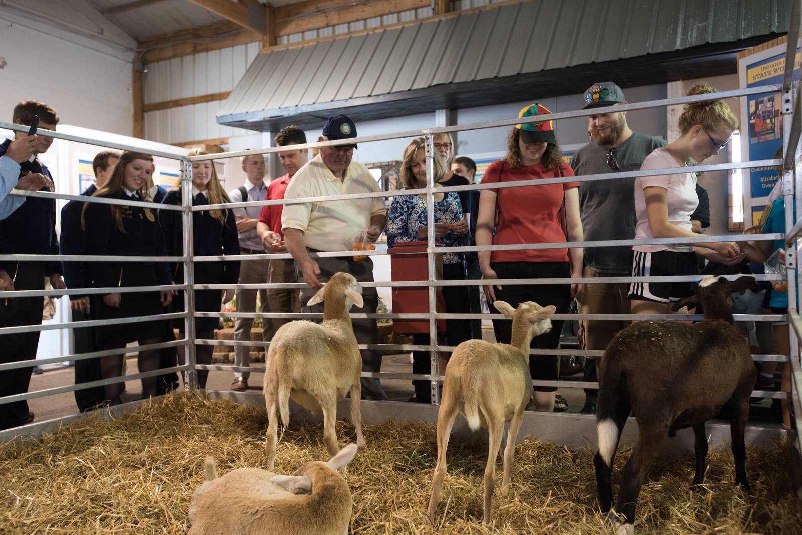 State Fair in sheep shape – AgriNews