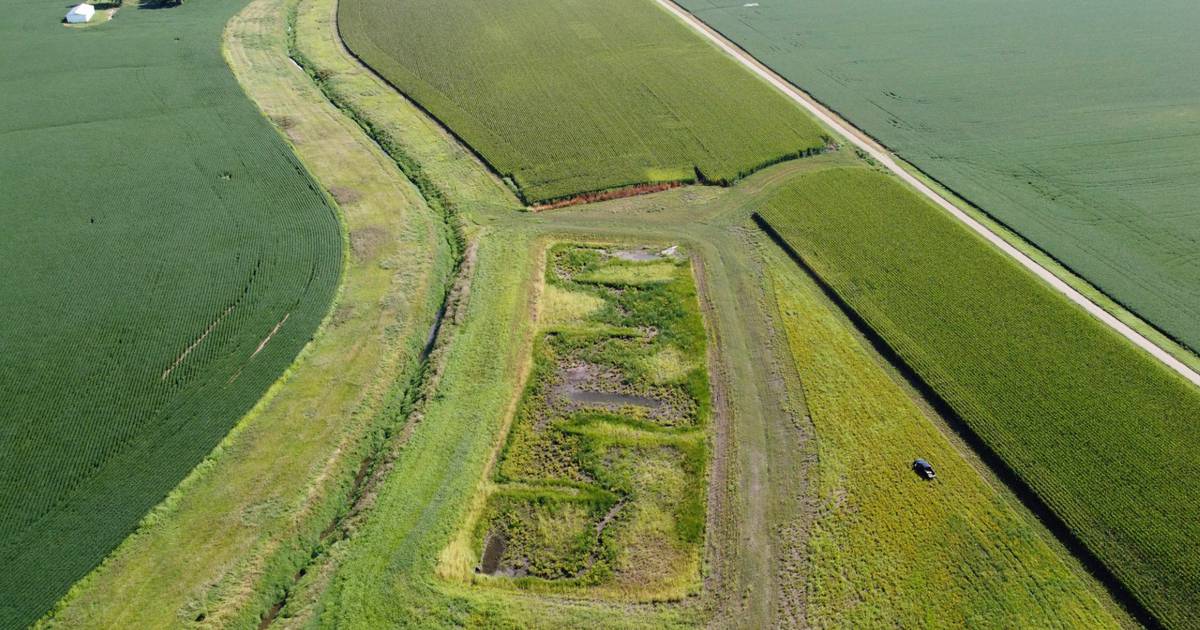Smart wetland featured at field day – AgriNews