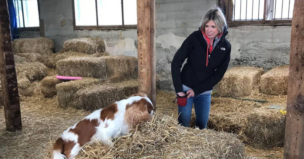 There’s more to barn hunting than smelling a rat – AgriNews