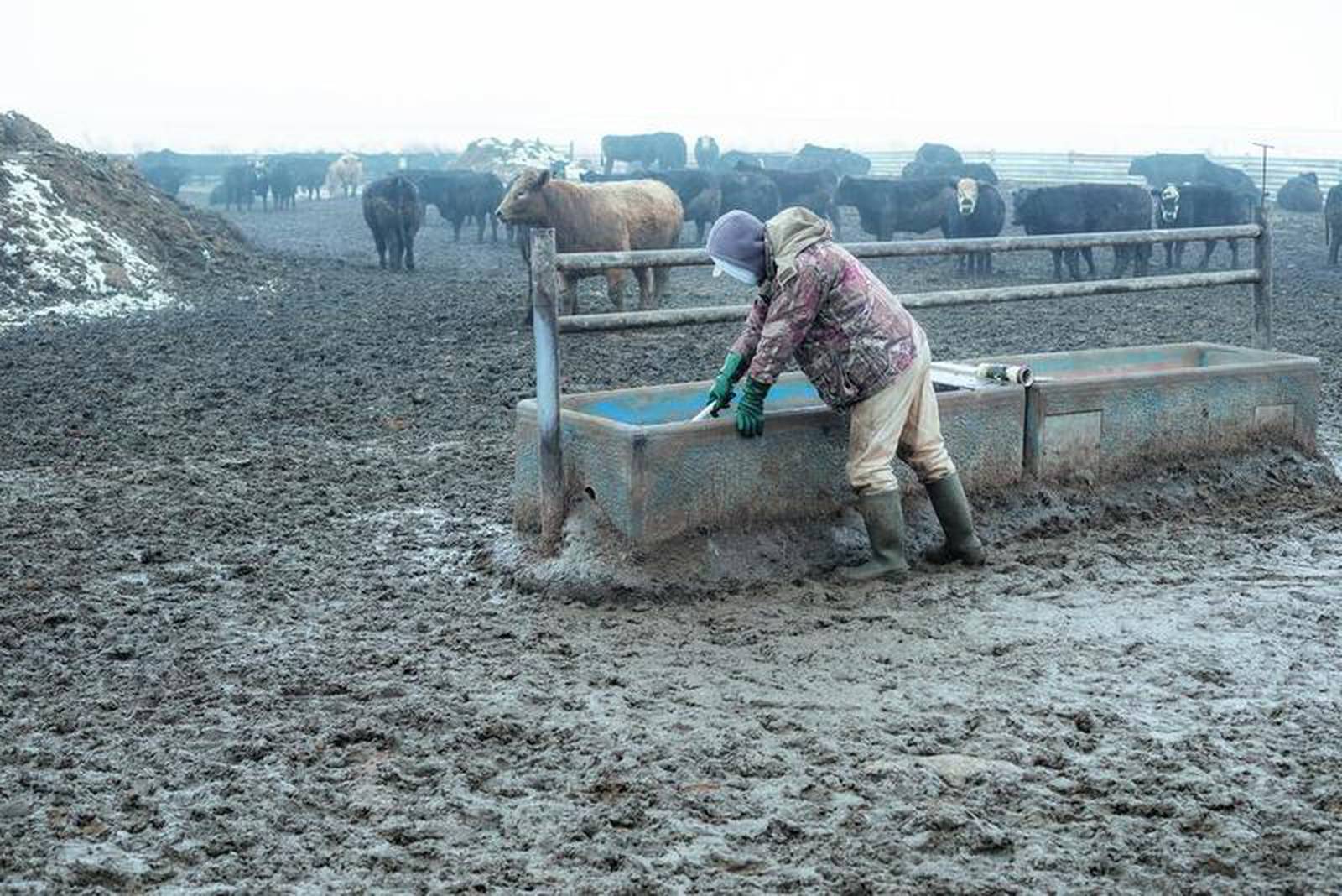 Tired of being tired? Tips to cure chronic fatigue – AgriNews